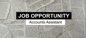 Accounts Assistant Job Description: Responsibilities and Skills ...